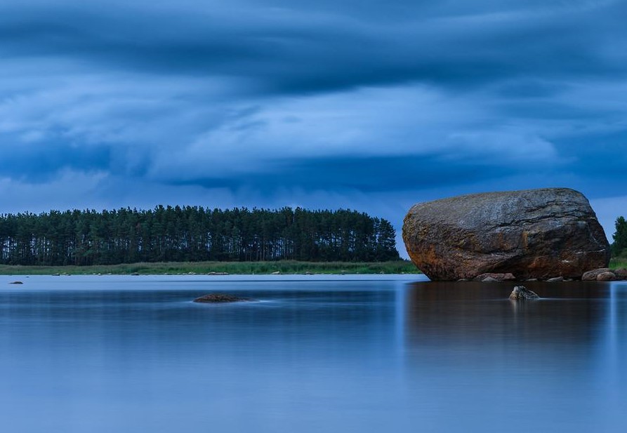 Conserving sacred natural sites in Estonia · Silene